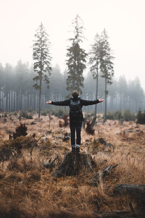 Indie Forest Tumblr