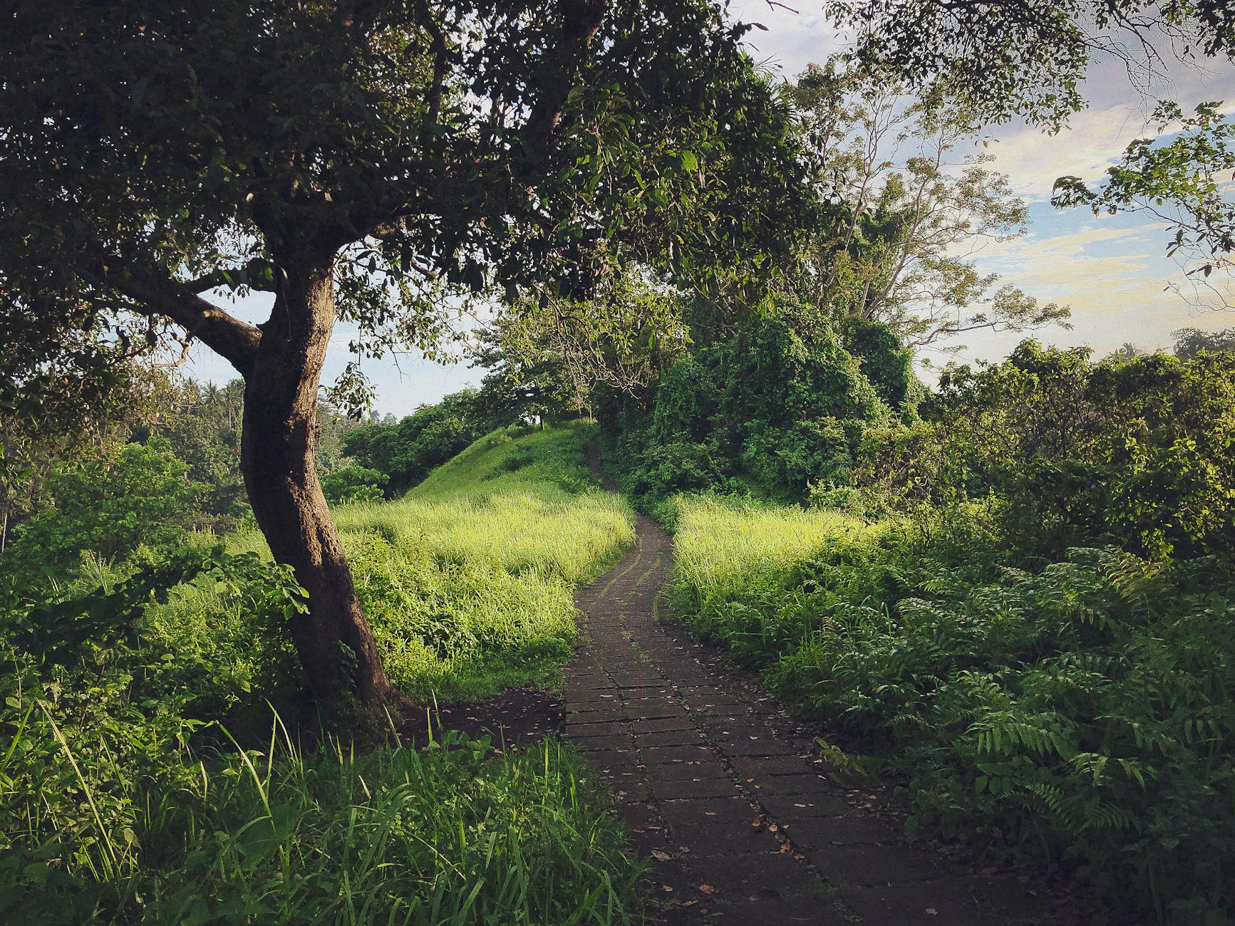 The Path Forward | Living With Confidence
